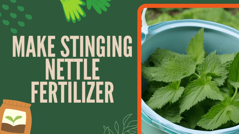 Make Stinging Nettle Fertilizer - 7 Easy Steps
