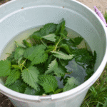 How to Make Liquid Fertilizer at Home - 9 Easy Recipes